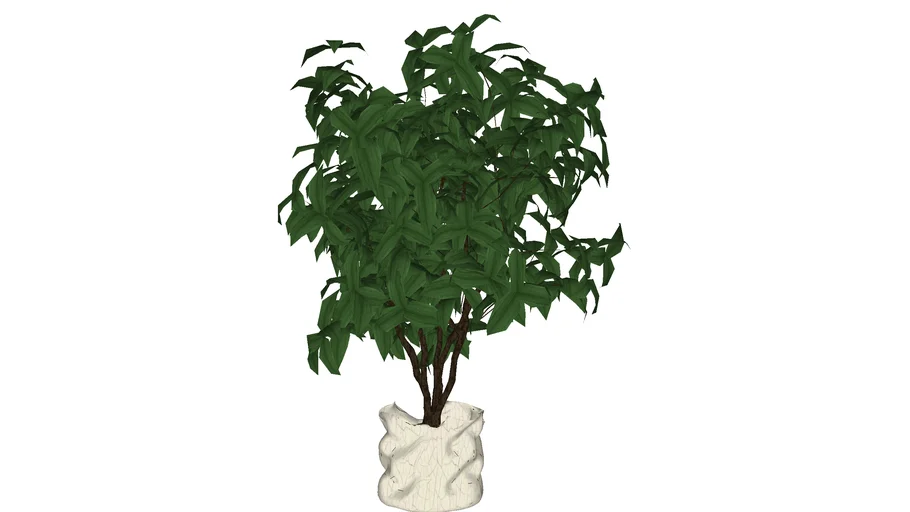 TREE | 3D Warehouse