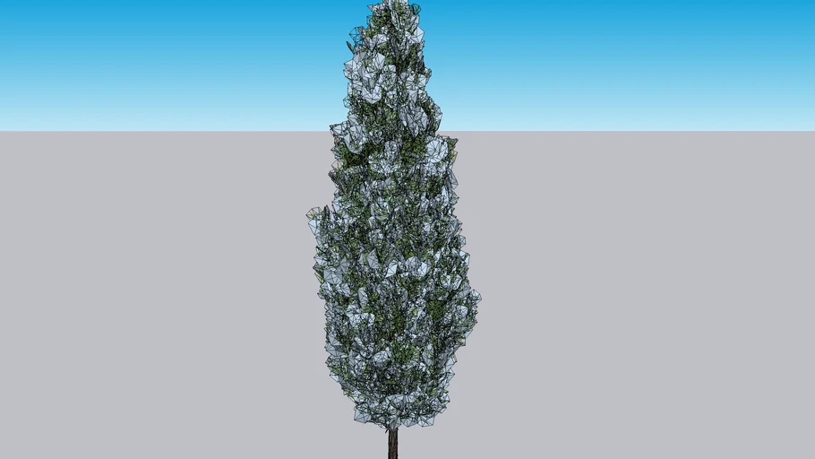 Cypress italian Tree | 3D Warehouse