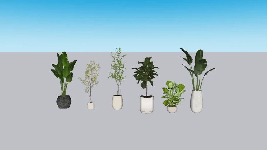 Plantas | 3D Warehouse