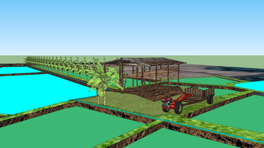 ทุ่งนา | 3D Warehouse