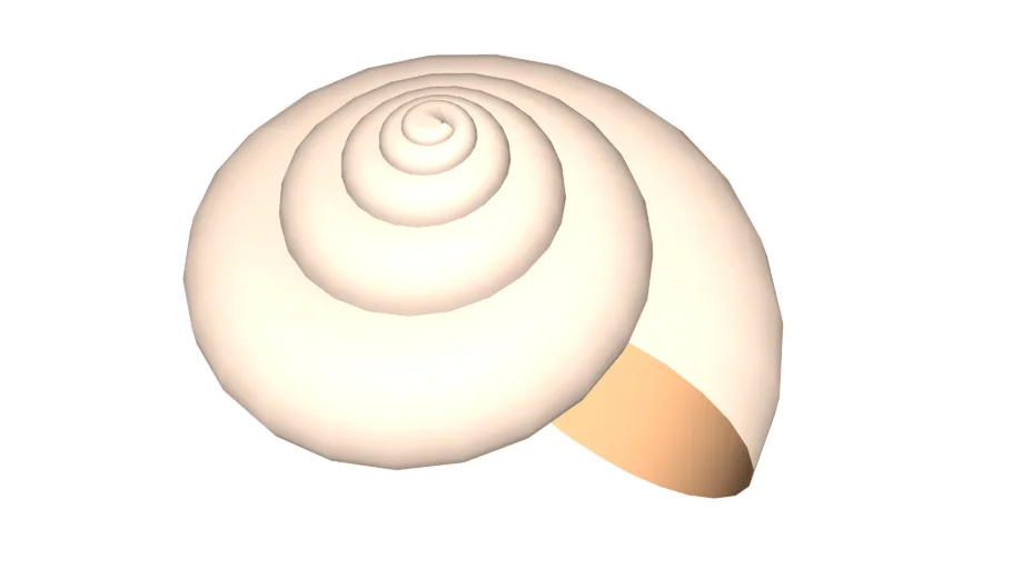 Snail shell | 3D Warehouse