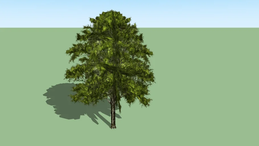 Tree | 3D Warehouse