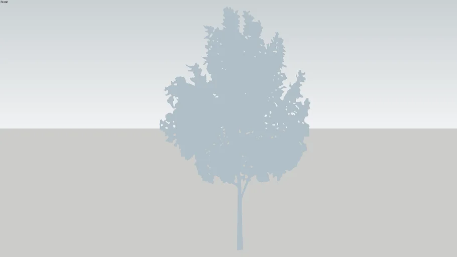 arvore | 3D Warehouse