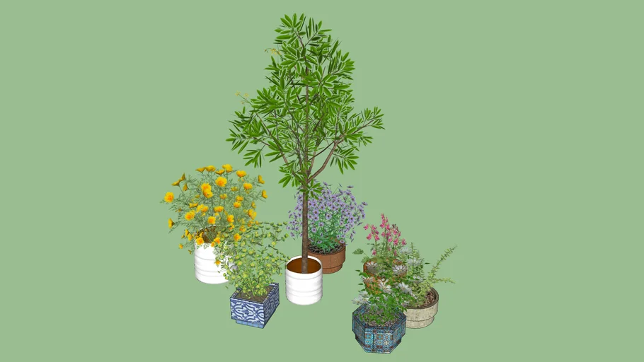 TREE G | 3D Warehouse