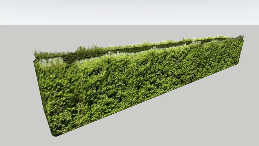 Hedge | 3D Warehouse