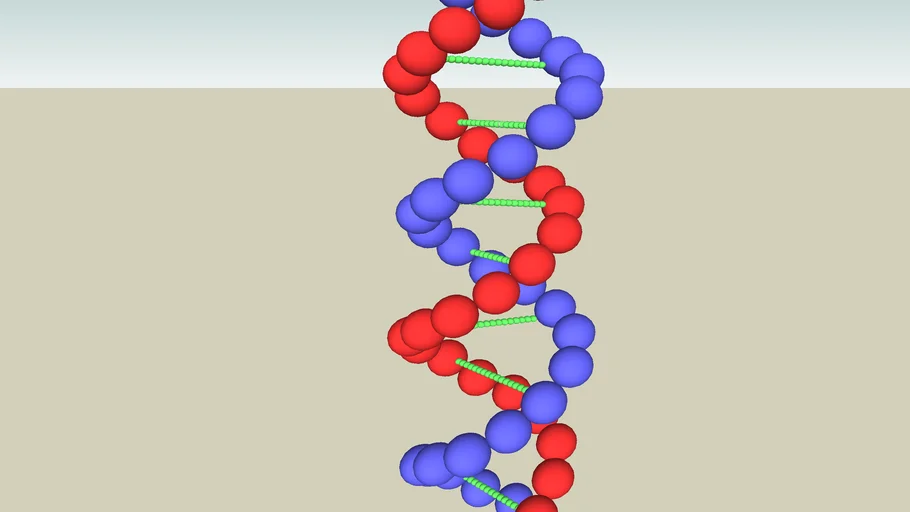 DOUBLE HELIX | 3D Warehouse