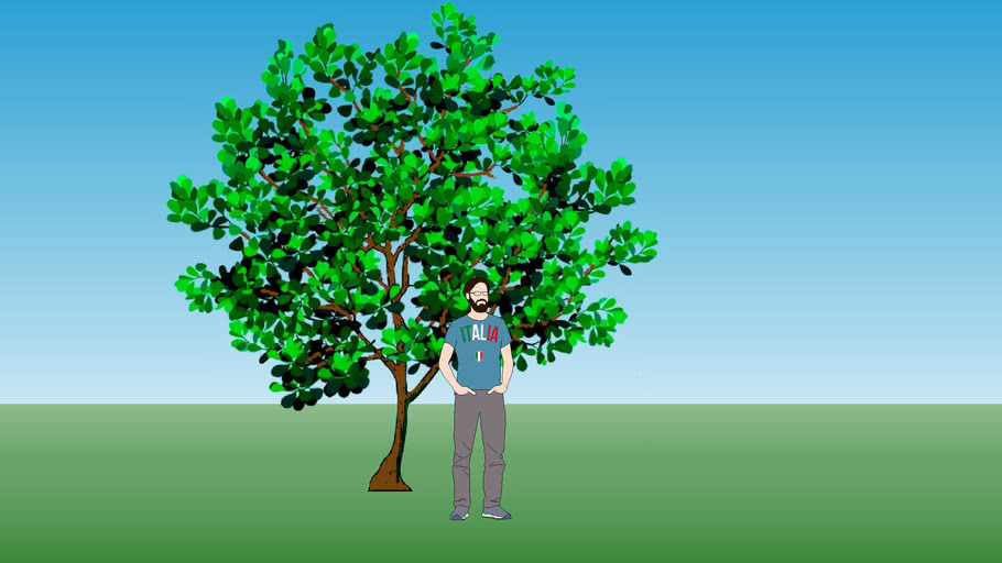 ILLUSTRATED TREE IN SPRING 2D SILHOUETTE TYPE TEXTURE TRANSPARENT ...