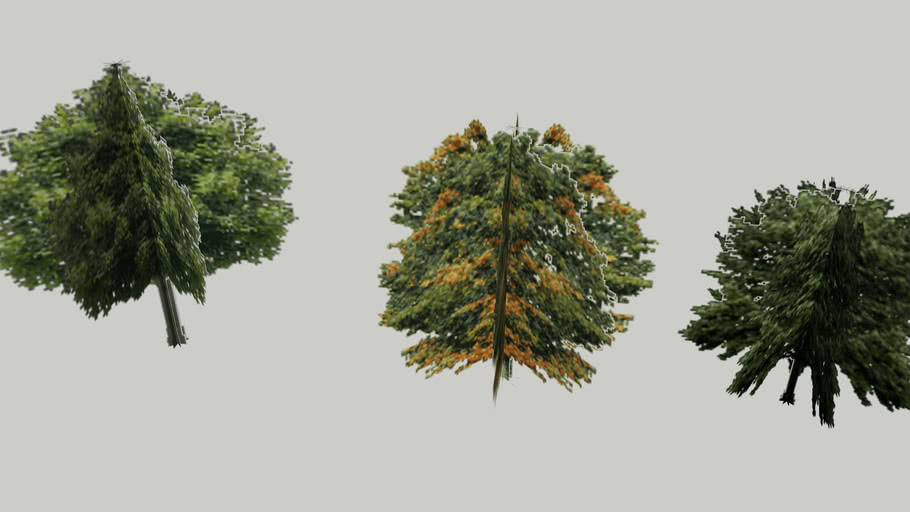 trees | 3D Warehouse