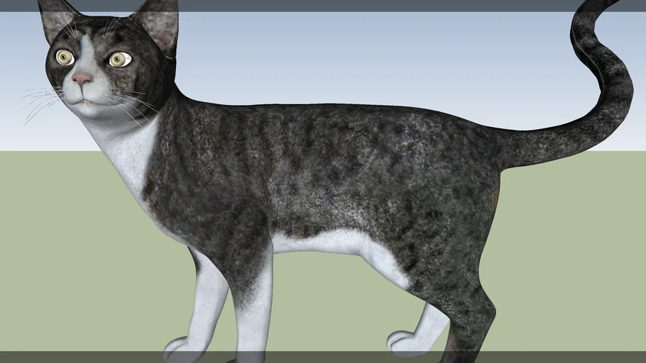 Cat | 3D Warehouse