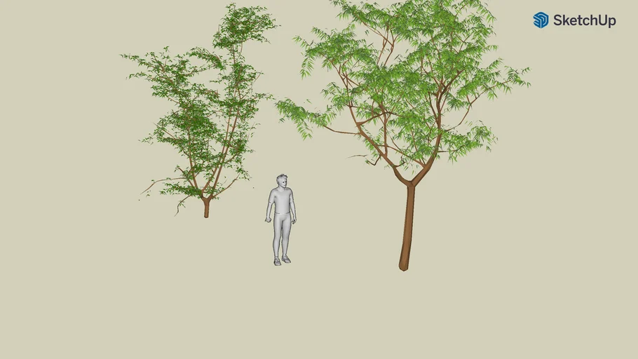 TREES | 3D Warehouse