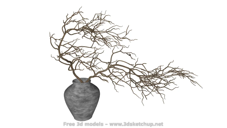 Dry plant | 3D Warehouse