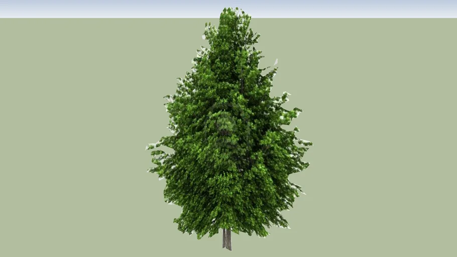 trees | 3D Warehouse