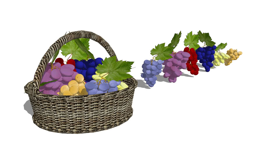 Grapes | 3D Warehouse