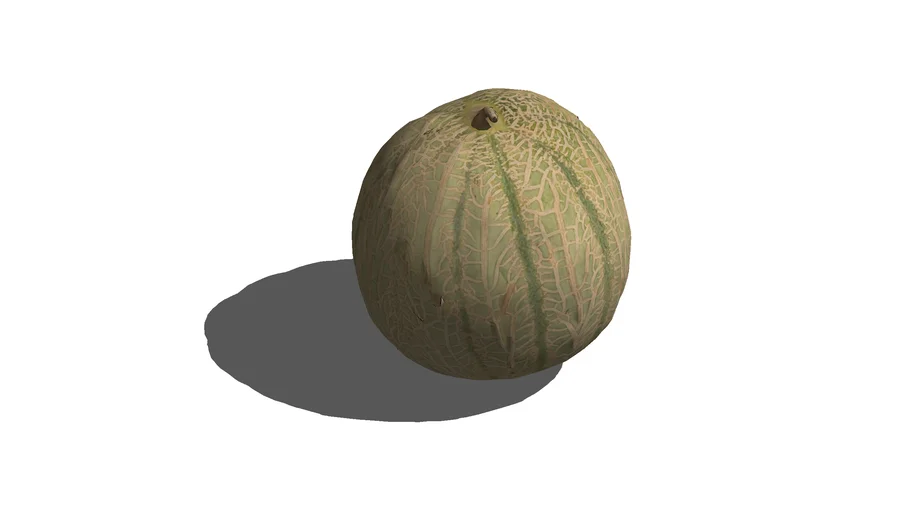 Melon | 3D Warehouse