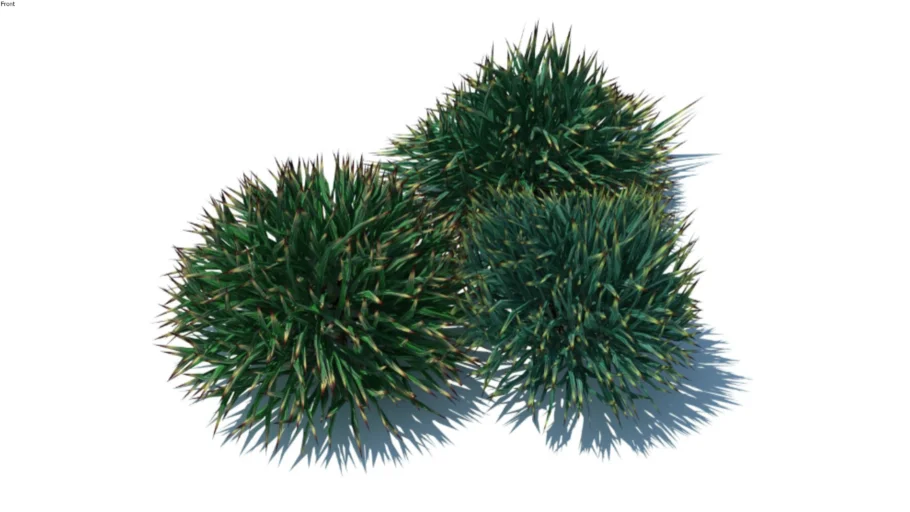 grass | 3D Warehouse