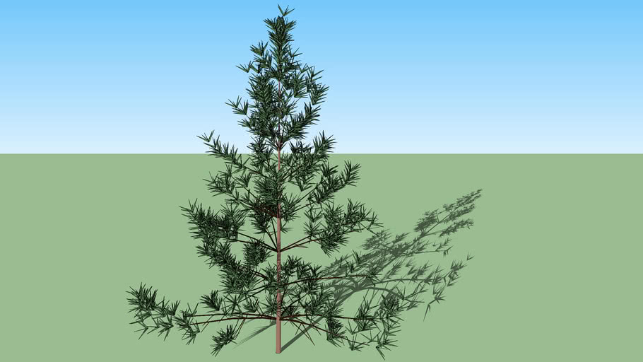 Tree 01 | 3D Warehouse