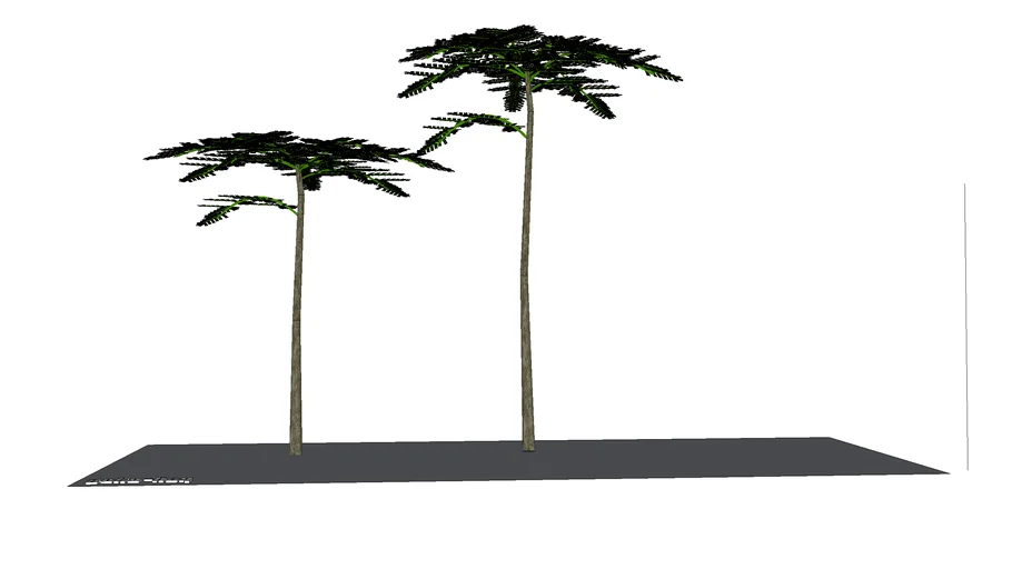 Tower Tree | 3D Warehouse