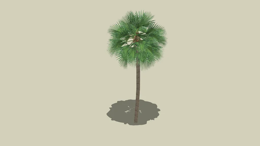 tree2 | 3D Warehouse