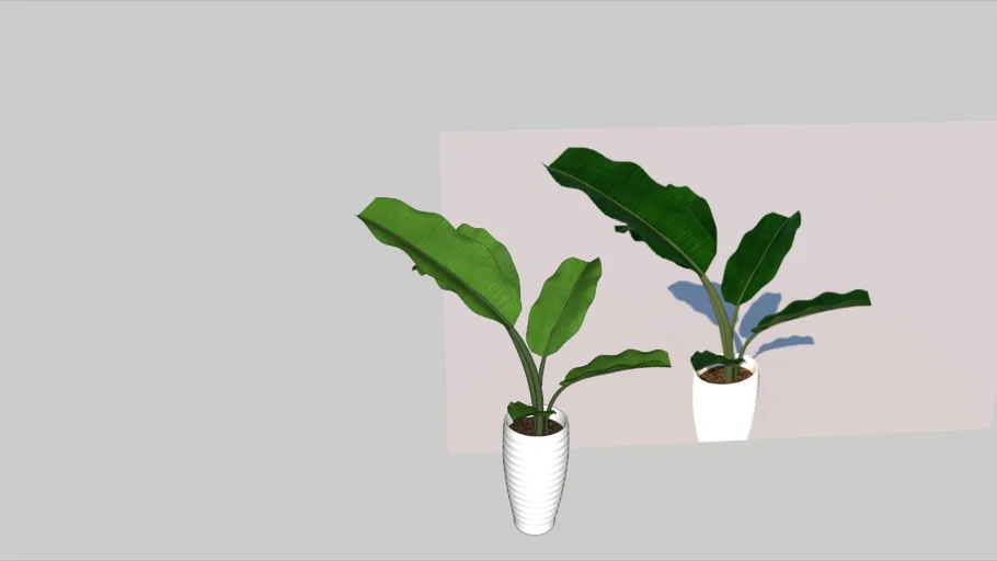 pot plant fix | 3D Warehouse