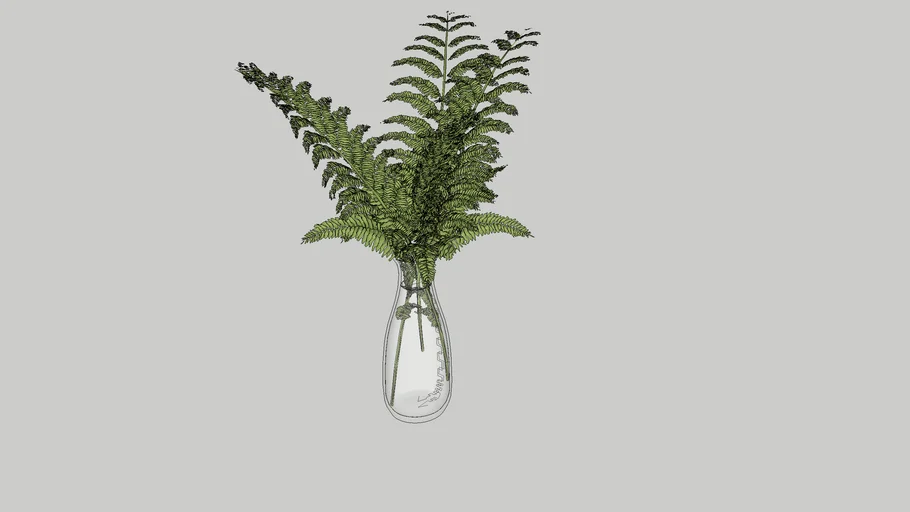 Fern In Vase 3D Warehouse, 45% OFF | brunofuga.adv.br