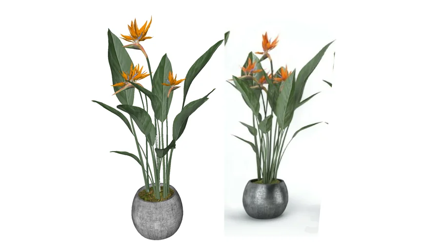 VASE (43).skp | 3D Warehouse