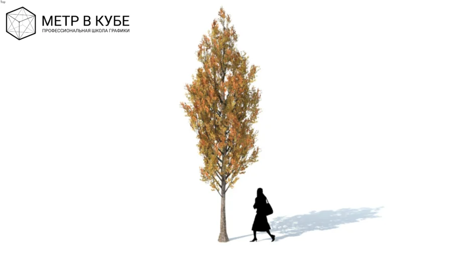 Low poly 3d tree fall autumn (034) | 3D Warehouse