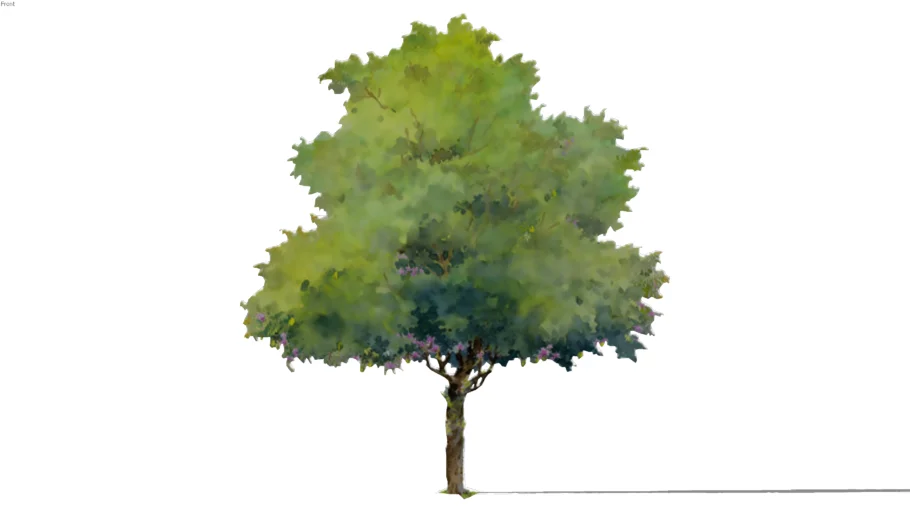 2D Painted Tree | 3D Warehouse