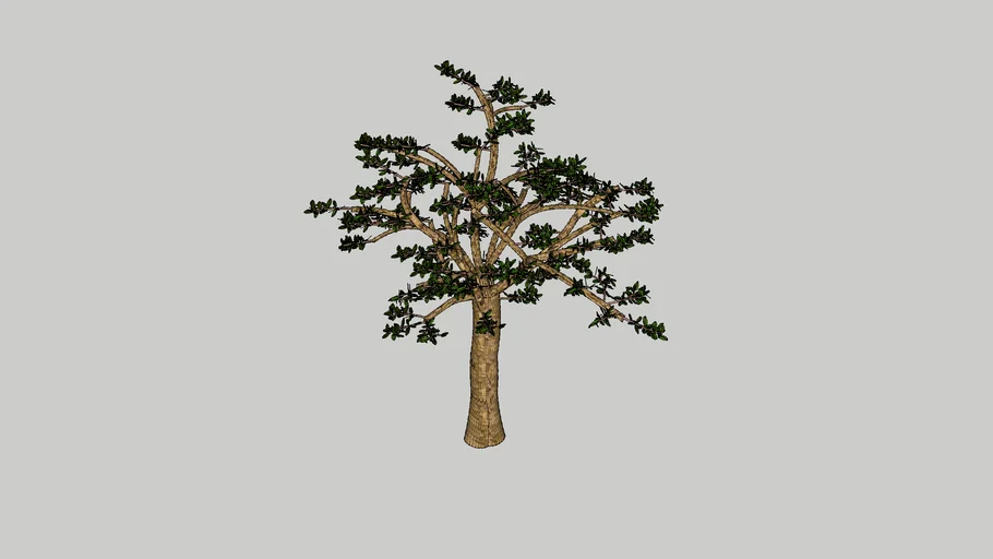 3D Beech tree | 3D Warehouse