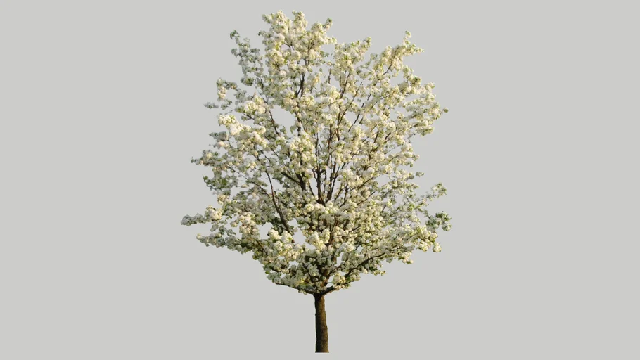 dfggh | 3D Warehouse