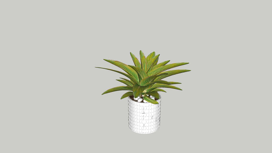 Vegetation 04 | 3D Warehouse