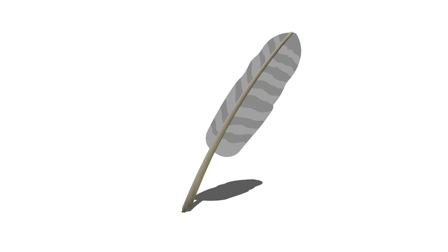Wing feather | 3D Warehouse
