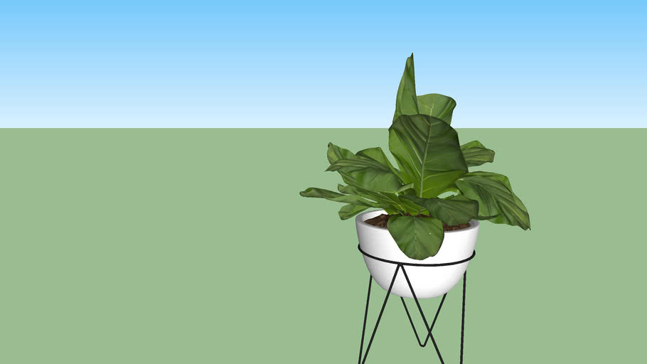 PLANTA CON PLANTERA BLANCA | 3D Warehouse