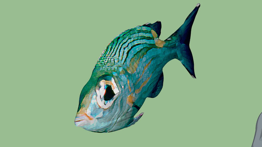 3D fish | 3D Warehouse