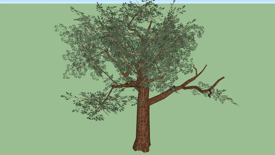 Tree | 3D Warehouse