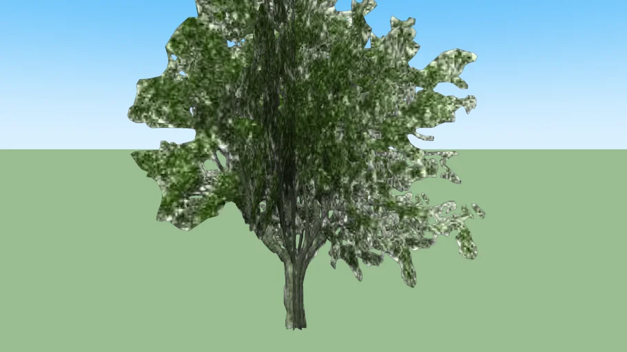 LOW POLY TREE | 3D Warehouse
