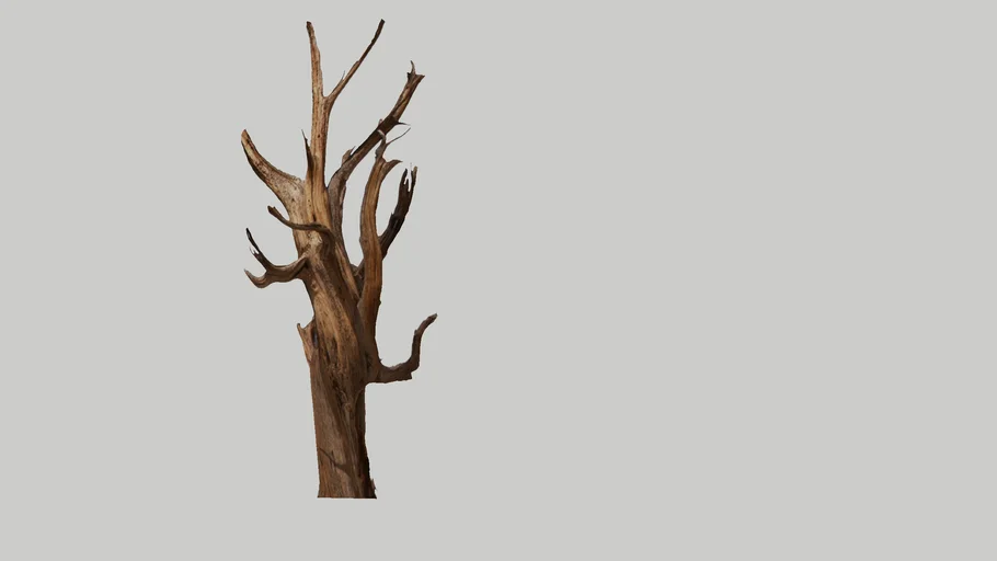 Ghost Juniper | 3D Warehouse