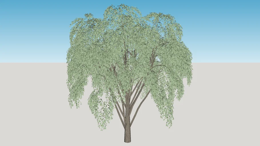 cay lieu | 3D Warehouse