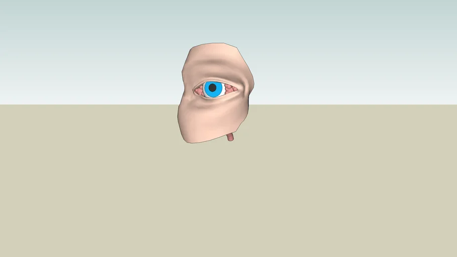 Eye ball | 3D Warehouse