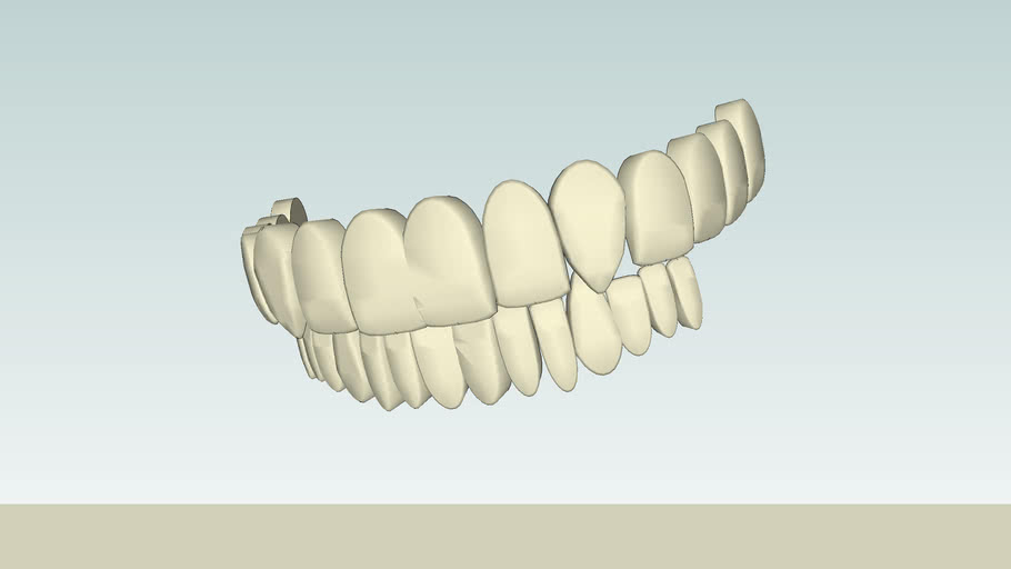 Teeth 2 | 3D Warehouse