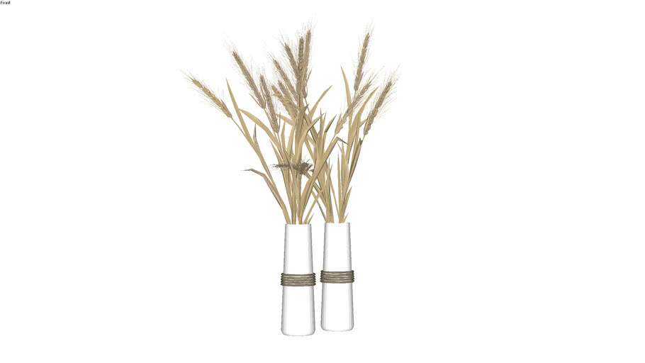 PAS BUNGA | 3D Warehouse