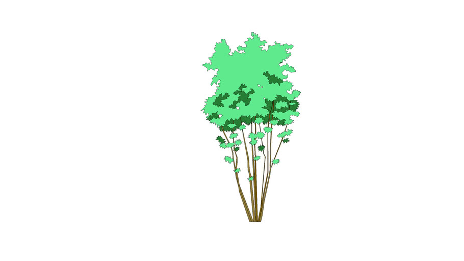 2D tree | 3D Warehouse