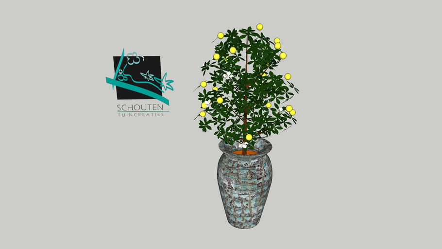Planter blue narrow with lemon tree | 3D Warehouse