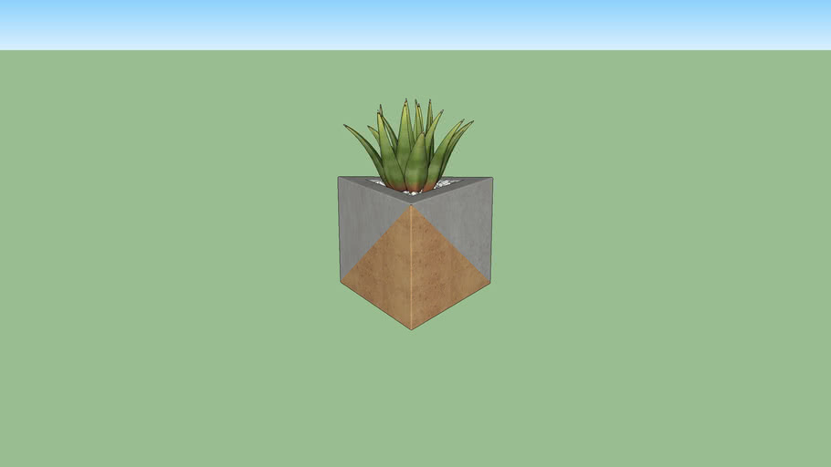suculenta | 3D Warehouse