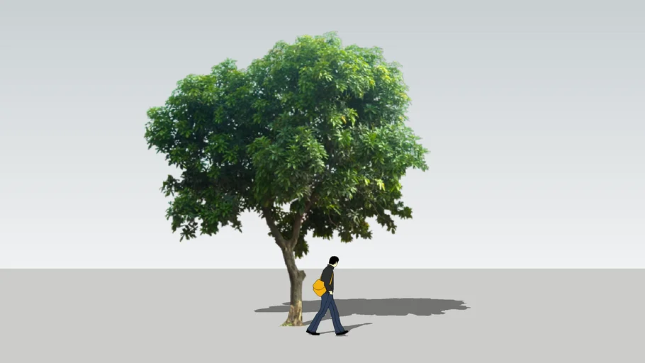 mango | 3D Warehouse