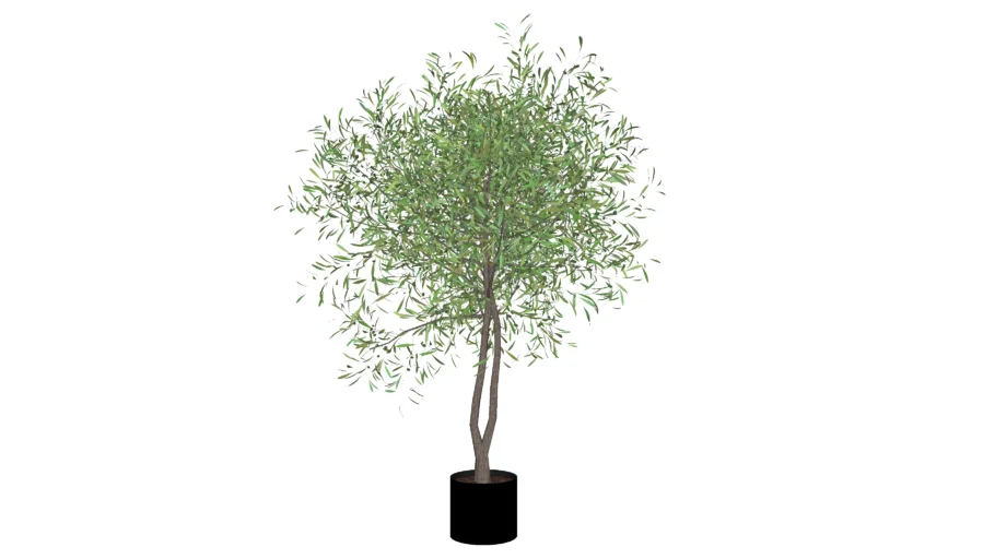 Tree 18 | 3D Warehouse