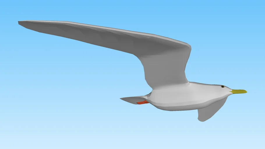 Seagull | 3D Warehouse