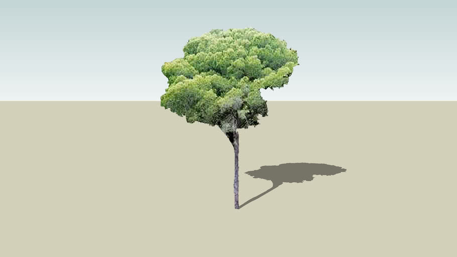 2d plants | 3D Warehouse