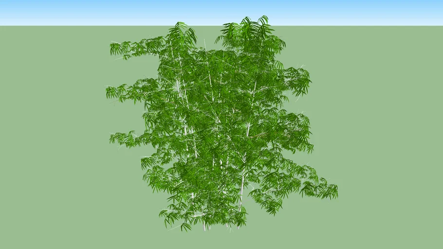 Bamboo Bambus | 3D Warehouse