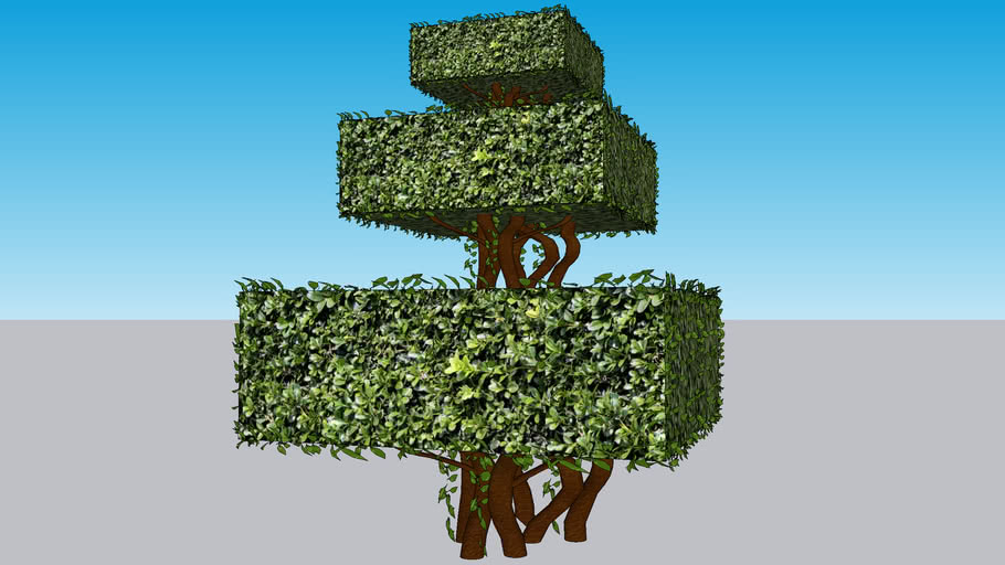 Square Plant in three step *1402* | 3D Warehouse