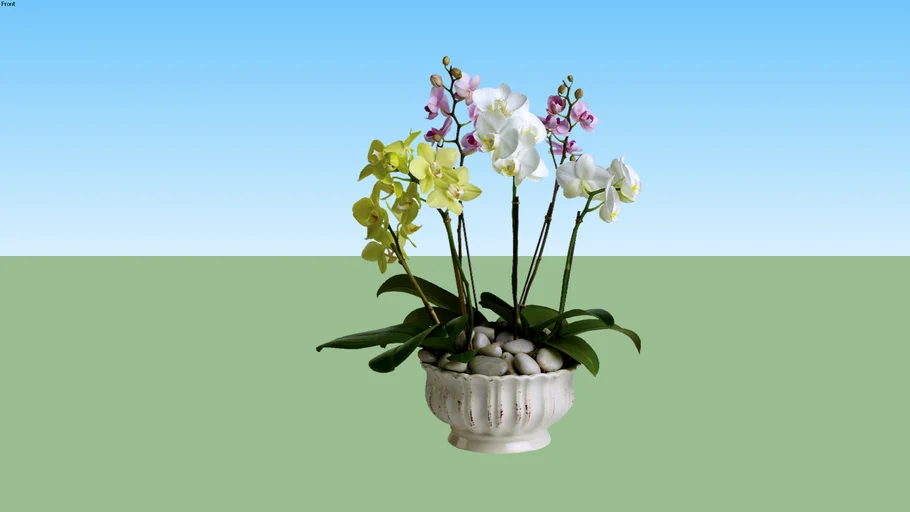 Anggrek (06) | 3D Warehouse